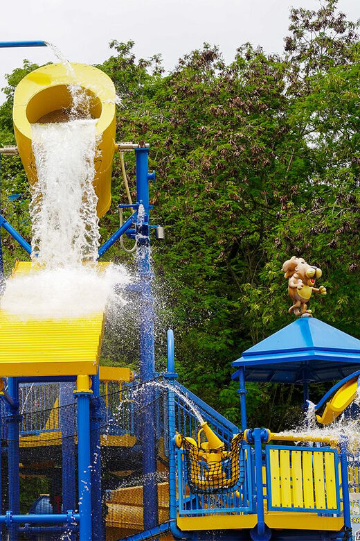 From Bogotá: Dive into Fun at Piscilago Water Park! - Live Entertainment and Special Events