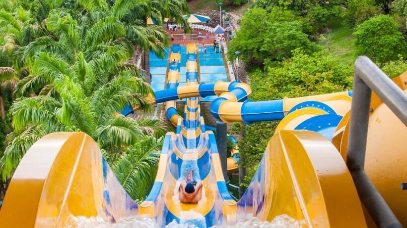 From Bogotá: Dive into Fun at Piscilago Water Park! - Cost and Value: Whats Included