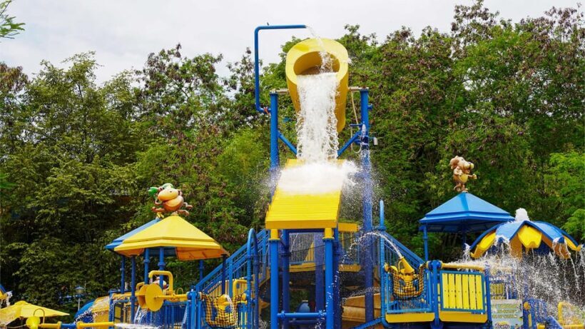 From Bogotá: Dive into Fun at Piscilago Water Park! - Final Thoughts: Who Will Love This Experience?