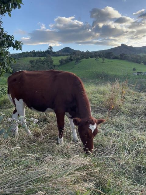 From Bogota: Guatavita Lagoon and Village Guided Tour - Final thoughts