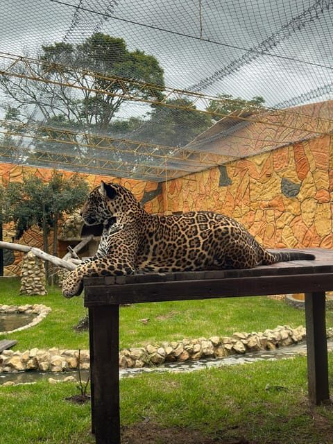 From Bogota: Jaime Duque Park and zoo with ticket included - Key Points