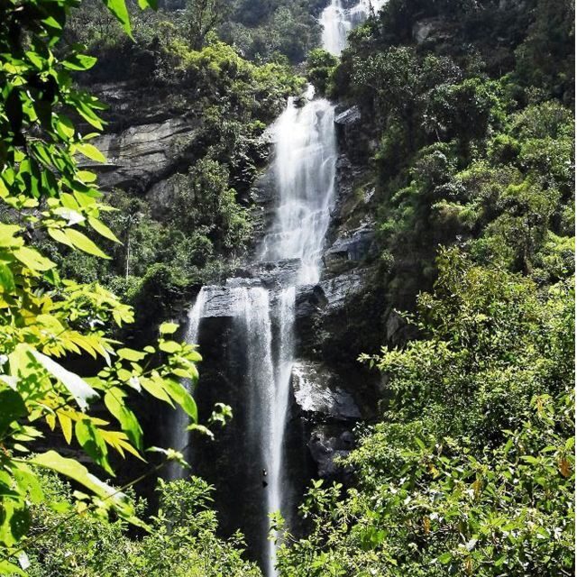 From Bogota: La Chorrera Waterfall Guided Hike - From Bogotá: La Chorrera Waterfall Guided Hike