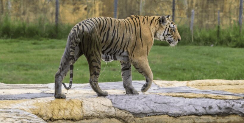 From Bogotá: Private Tour to Pablo Escobar's Theme Park - Who Will Appreciate This Tour?