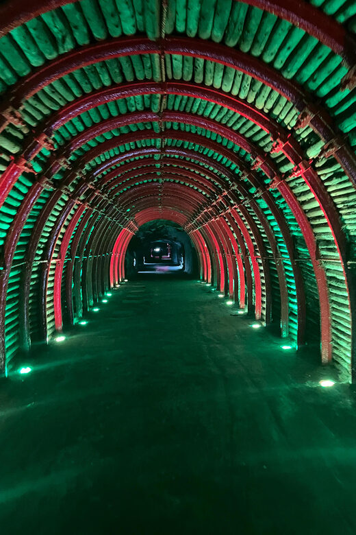 FROM BOGOTA: Salt Cathedral and Andrés Carne de Res Tour (Chía) - Practical Details and Logistics