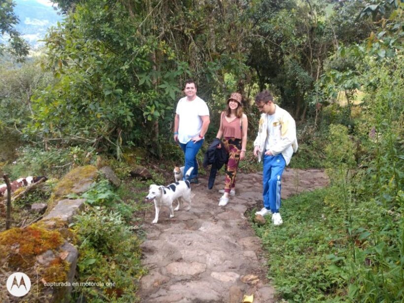 From Bogotá: Tour to the Waterfall of La Chorrera - Introduction: What’s This Tour All About?