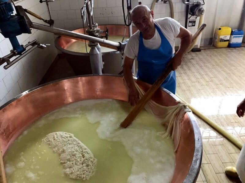 From Bologna: Emilia Excellence Food Tour - A Taste of Emilia-Romagna: From Bologna, the Emilia Excellence Food Tour