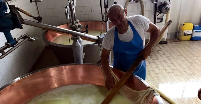 From Bologna: Emilia Excellence Food Tour - What Makes This Tour Special