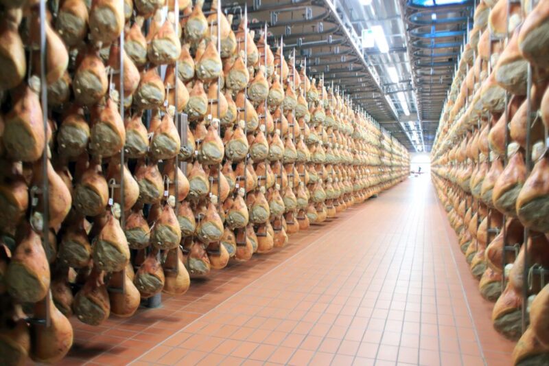 From Bologna or Modena: Parma Gastronomic Tour with Lunch - Analyzing the Experience’s Value