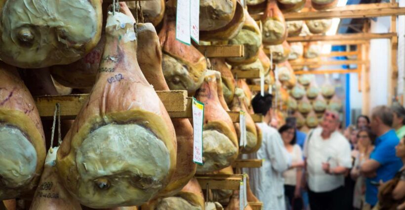 From Bologna: Parma Cheese & Ham Factory Tours and Tastings - Who Will Love This Tour?