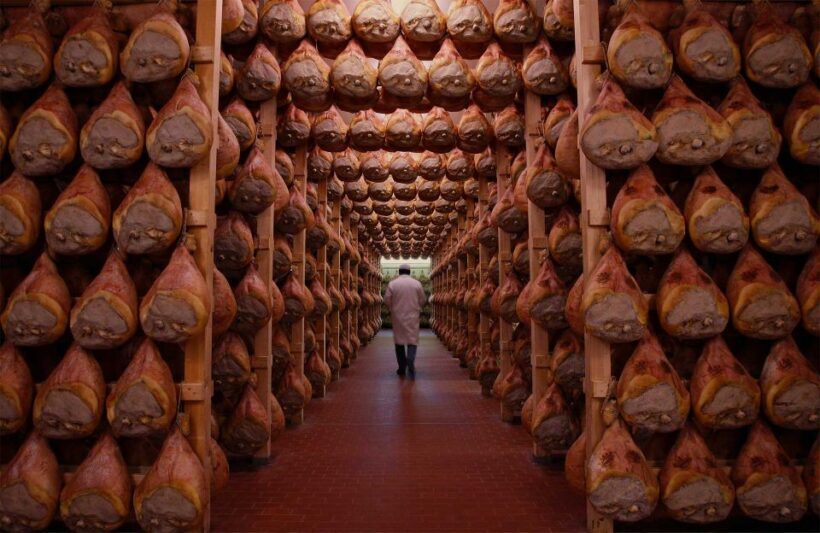 From Bologna: Parma Cheese & Ham Factory Tours and Tastings - The Sum Up