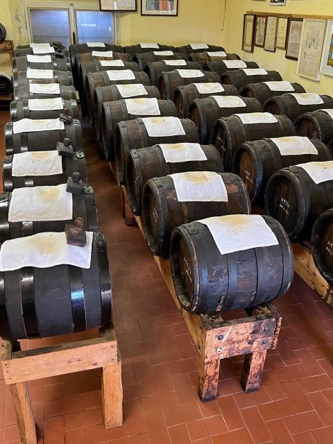 From Bologna: Parmesan Cheese & Balsamic Vinegar Tour+Lunch - Introduction to Emilia-Romagna’s Gourmet Heritage