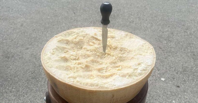 From Bologna: Parmesan Cheese & Balsamic Vinegar Tour+Lunch - Regional Flavors During the Light Lunch