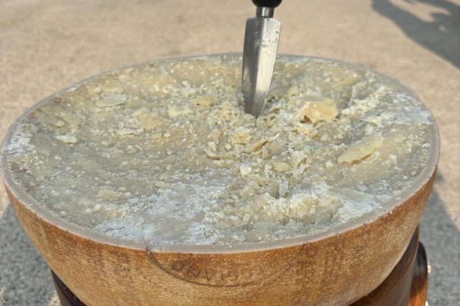 From Bologna: Parmesan Cheese & Balsamic Vinegar Tour+Lunch - Authentic Flavors of Emilia-Romagna: Parmesan Cheese & Balsamic Vinegar Tour in Bologna