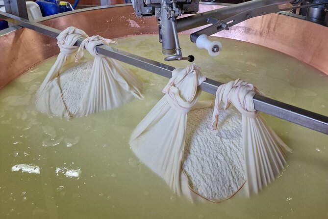 From Bologna: Parmesan Cheese & Balsamic Vinegar Tour+Lunch - Authentic Experiences and Honest Feedback