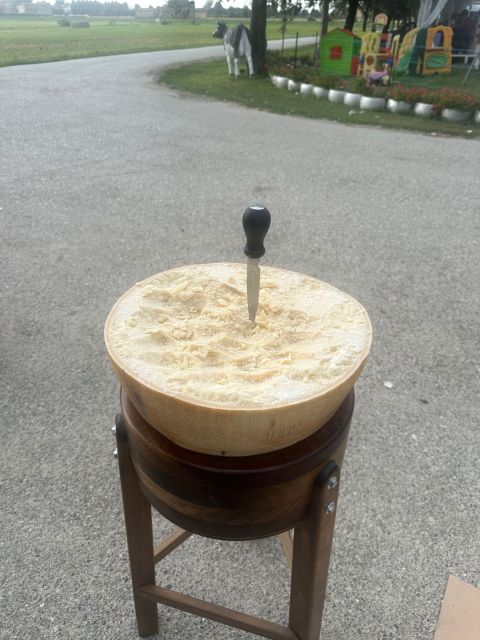 From Bologna: Parmesan, Vinegar, Lambrusco with Transfer - Key Points