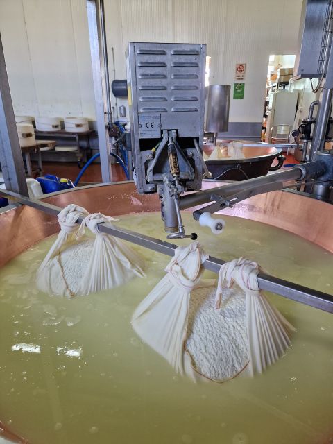 From Bologna: Parmesan, Vinegar, Lambrusco with Transfer - The Real Value of the Experience