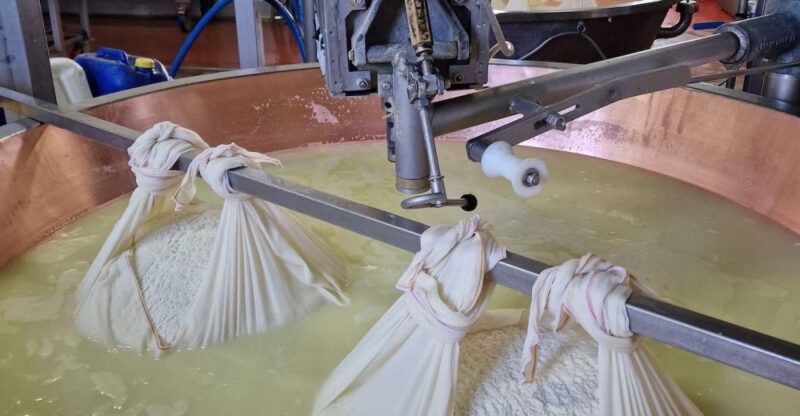 From Bologna: Parmesan, Vinegar, Lambrusco with Transfer - Who Should Consider This Tour?