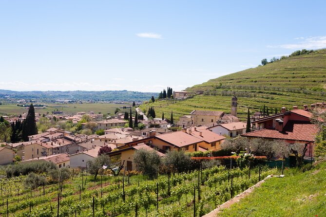 From Bologna: Verona and Valpolicella Day Tour - Who Is This Tour Best For?
