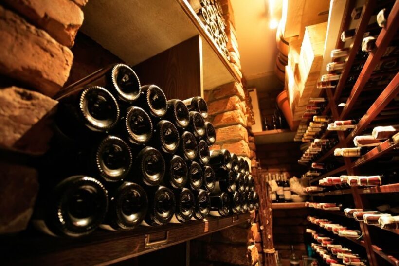 From Bologna: Wine Tasting and Vineyard Tour - Meeting Point and Duration