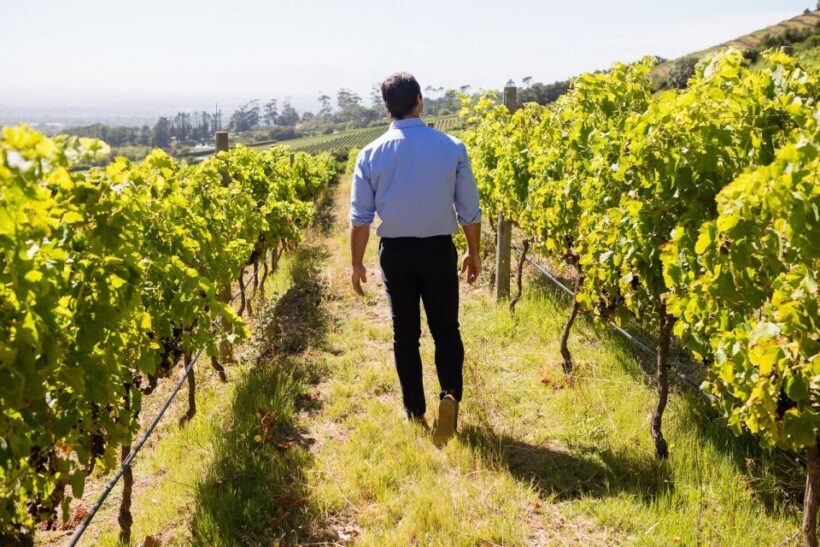 From Bologna: Wine Tasting and Vineyard Tour - Overall Value and What You Get