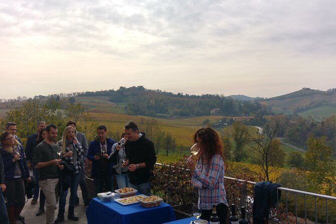 From Bologna: Wine Tasting and Vineyard Tour With the Winemaker - Vineyard and Cellar Exploration