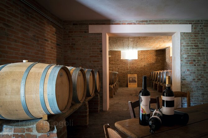 From Bologna: Wine Tasting and Vineyard Tour With the Winemaker - Wine Tasting With Scenic Views