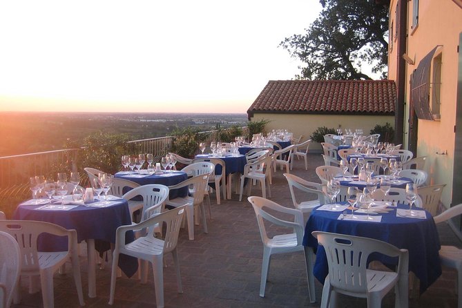 From Bologna: Wine Tasting and Vineyard Tour With the Winemaker - Accessibility and Logistics