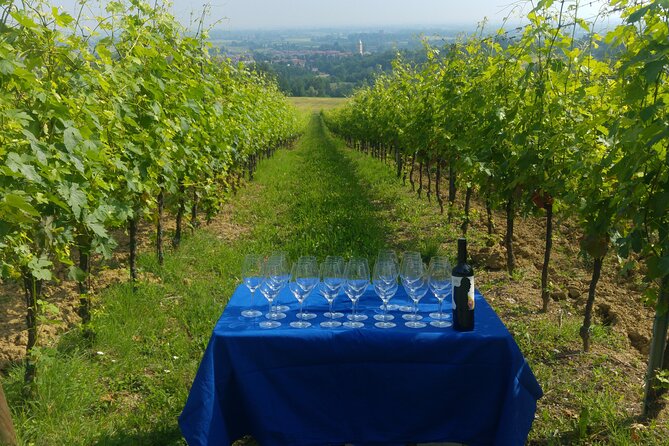 From Bologna: Wine Tasting and Vineyard Tour With the Winemaker - Guest Reviews and Feedback
