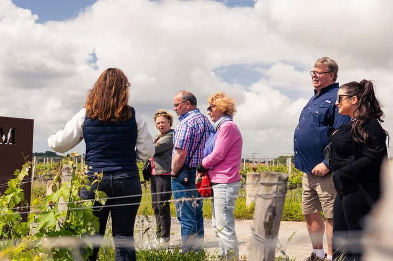 From Bordeaux: Afternoon Wine Tasting in the Medoc Region - Key Points