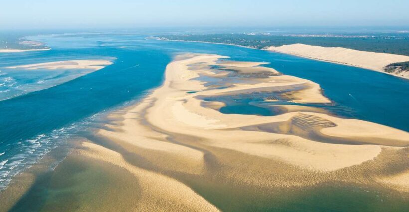 From Bordeaux: Arcachon and Pilat Dune Private Tour - Discovering Local Flavors and Culture