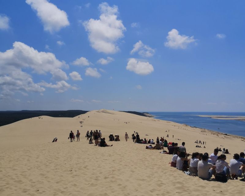 From Bordeaux: Arcachon Bay Afternoon and Seafood - An Authentic Day Out: What This Tour Offers