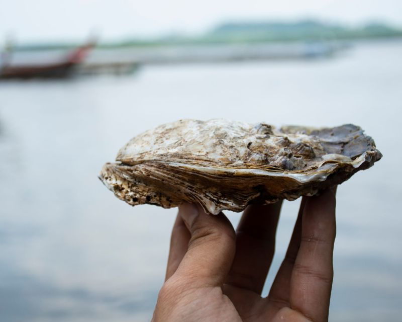 From Bordeaux: Arcachon Bay Afternoon and Seafood - Who Will Love This Tour?