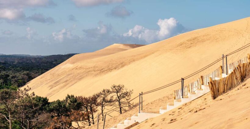 From Bordeaux: Arcachon Bay Full Day Tour and Oyster Lunch - Introduction and Overall Experience