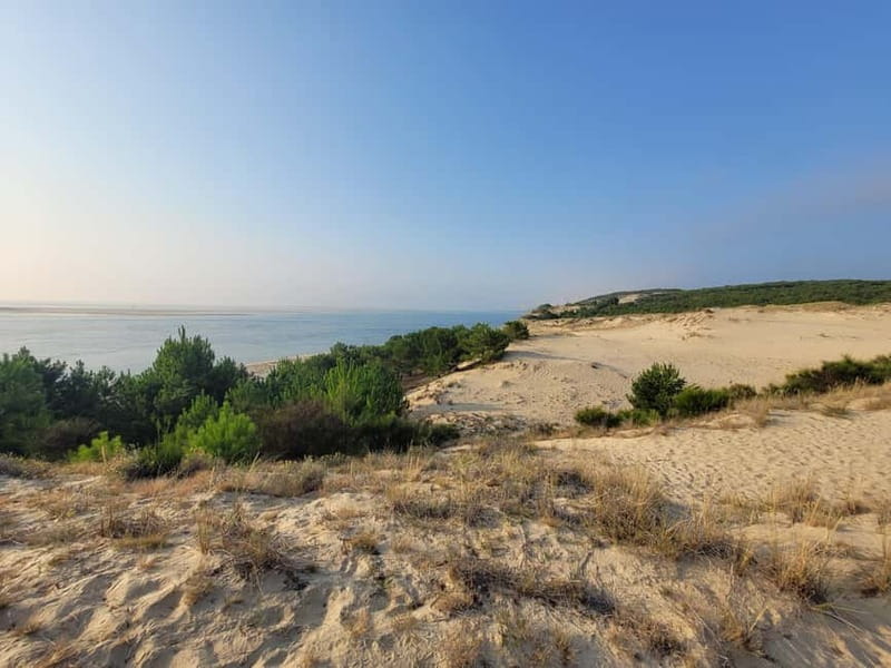 From Bordeaux: Dune du Pilat, Arcachon Bay and Oyster Village Private Tour - Exploring the Itinerary in Detail