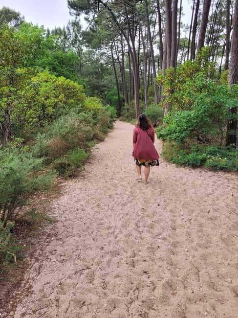 From Bordeaux: Dune du Pilat, Arcachon Bay and Oyster Village Private Tour - Authenticity, Value, and Practical Considerations