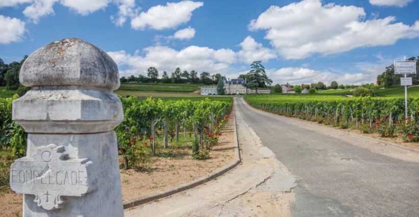 From Bordeaux: Full-Day St Emilion Wine Tasting Tour - A Deeper Look at the Experience