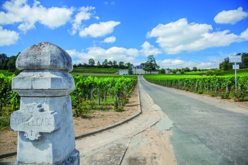 From Bordeaux: Full-Day St Emilion Wine Tasting Tour - The Experience Guides and Reviews