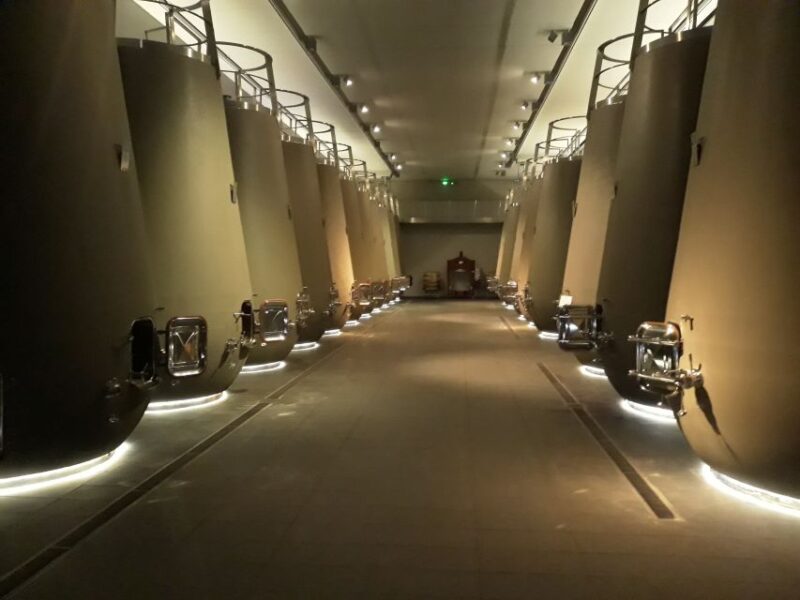 From Bordeaux: Médoc Vineyard and Chateau Tour by Sidecar - Authentic Experiences from Travelers