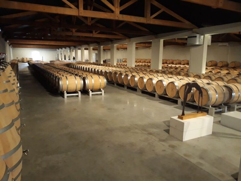 From Bordeaux: Médoc Vineyard and Chateau Tour by Sidecar - Who Will Love This Tour?
