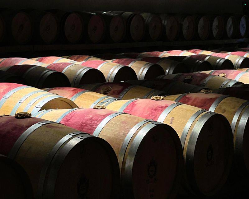 From Bordeaux: Medoc Winery Morning Tour with Wine Tasting - Who Will Love This Tour?