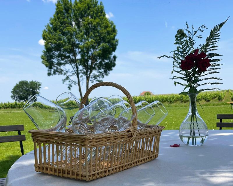 From Bordeaux: Saint-Emilion Day Trip with Lunch and Wine - Key Points