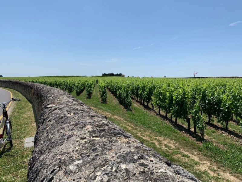From Bordeaux: Saint-Emilion Guided Wine Tasting Tour - The Sum Up