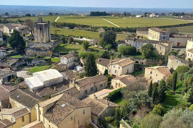 From Bordeaux: Saint-Émilion Half-Day Trip With Wine Tasting - Traveler Reviews and Feedback