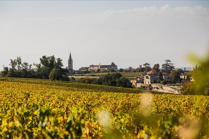 From Bordeaux: Saint-Émilion Half-Day Trip With Wine Tasting - Duration and End Point