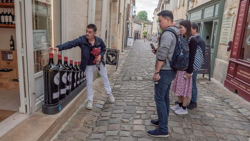 From Bordeaux: St-Emilion Day Tour with Tastings and Lunch - Introducing the Bordeaux Saint-Emilion Day Tour: A Deep Dive into Wine and History