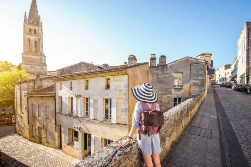 From Bordeaux: St. Emilion Village Half-Day Wine Tour - Who Will Love This Tour?