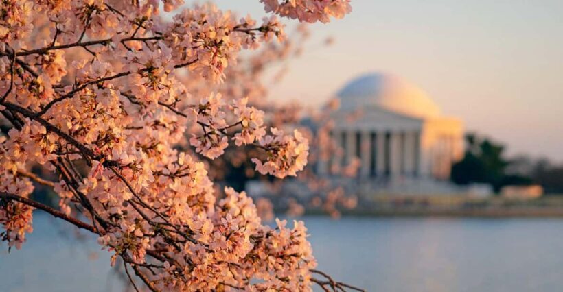 From Boston: 4-Day Tour to New York, D.C.&Niagara Falls - Overview of the Tour Experience