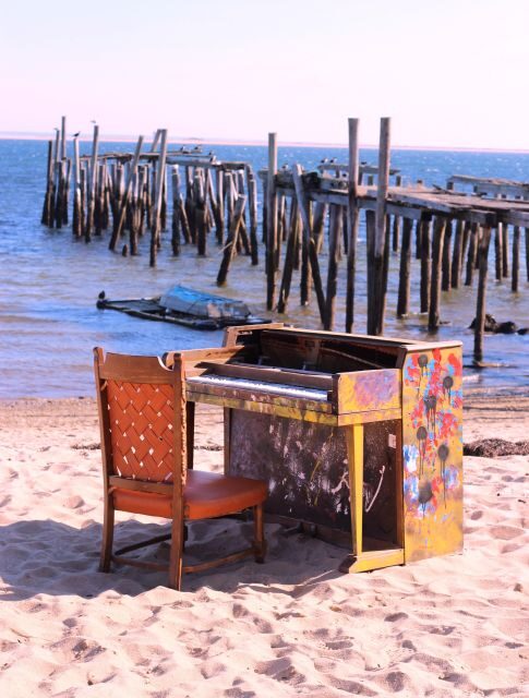 From Boston: Cape Cod and Plymouth Day Tour - The Sum Up