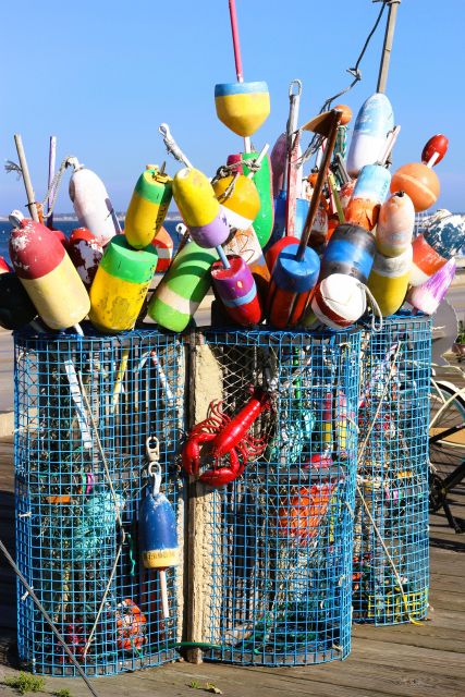 From Boston: Cape Cod and Plymouth Day Tour - Analyzing the Value