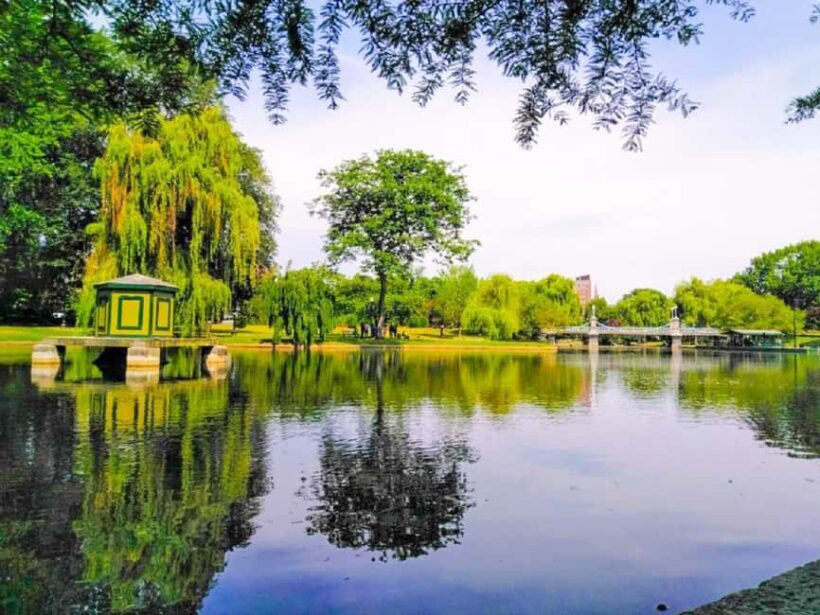 From Boston:Public Garden,Beacon Hill&More Half Day tour - Final Thoughts: Who Should Consider This Tour?